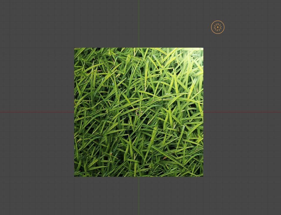 Texture Grass Texture Seamless - 2K - Grama VR / AR / low-poly | CGTrader