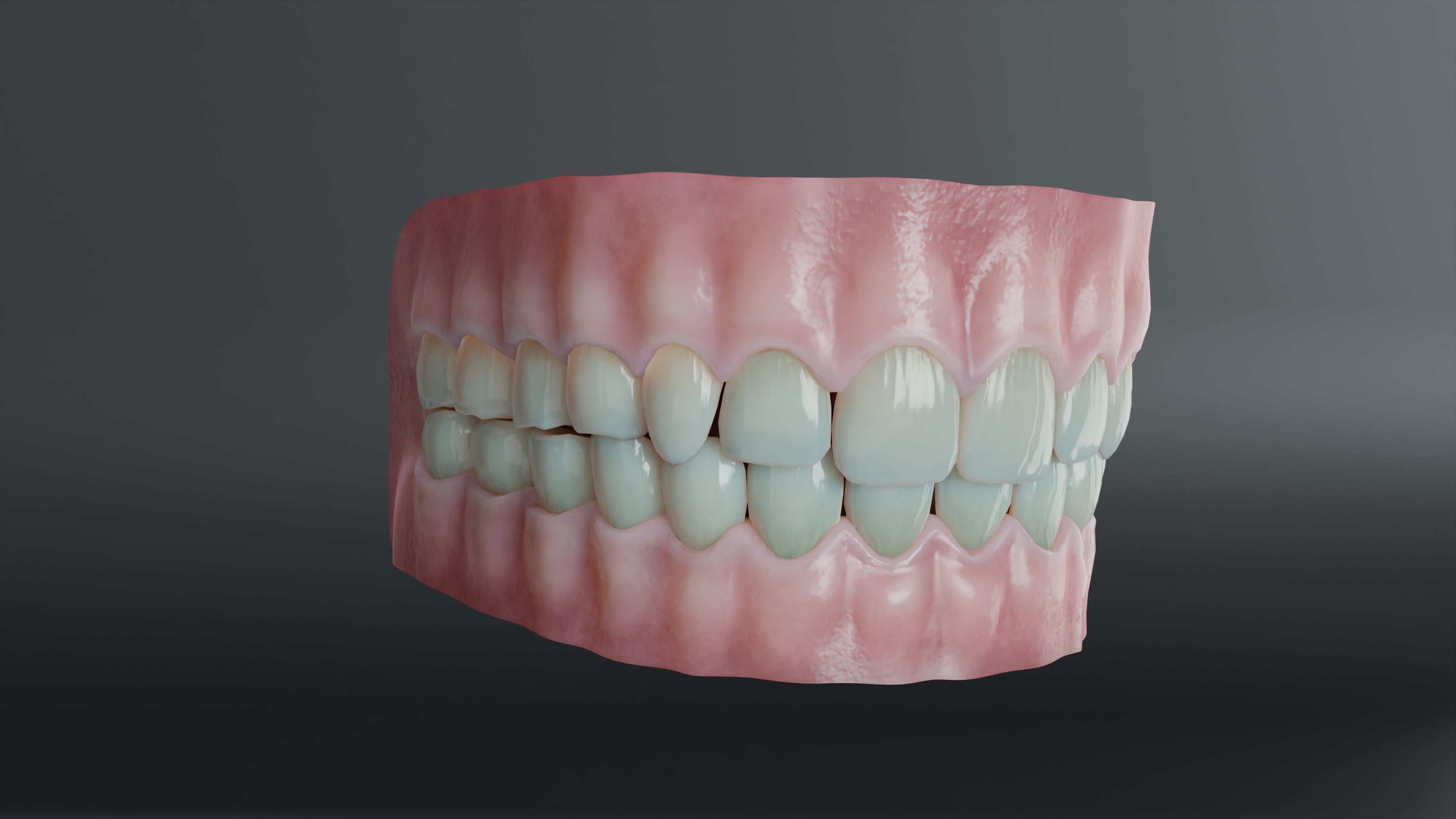 Human Teeth 3D model animated rigged | CGTrader