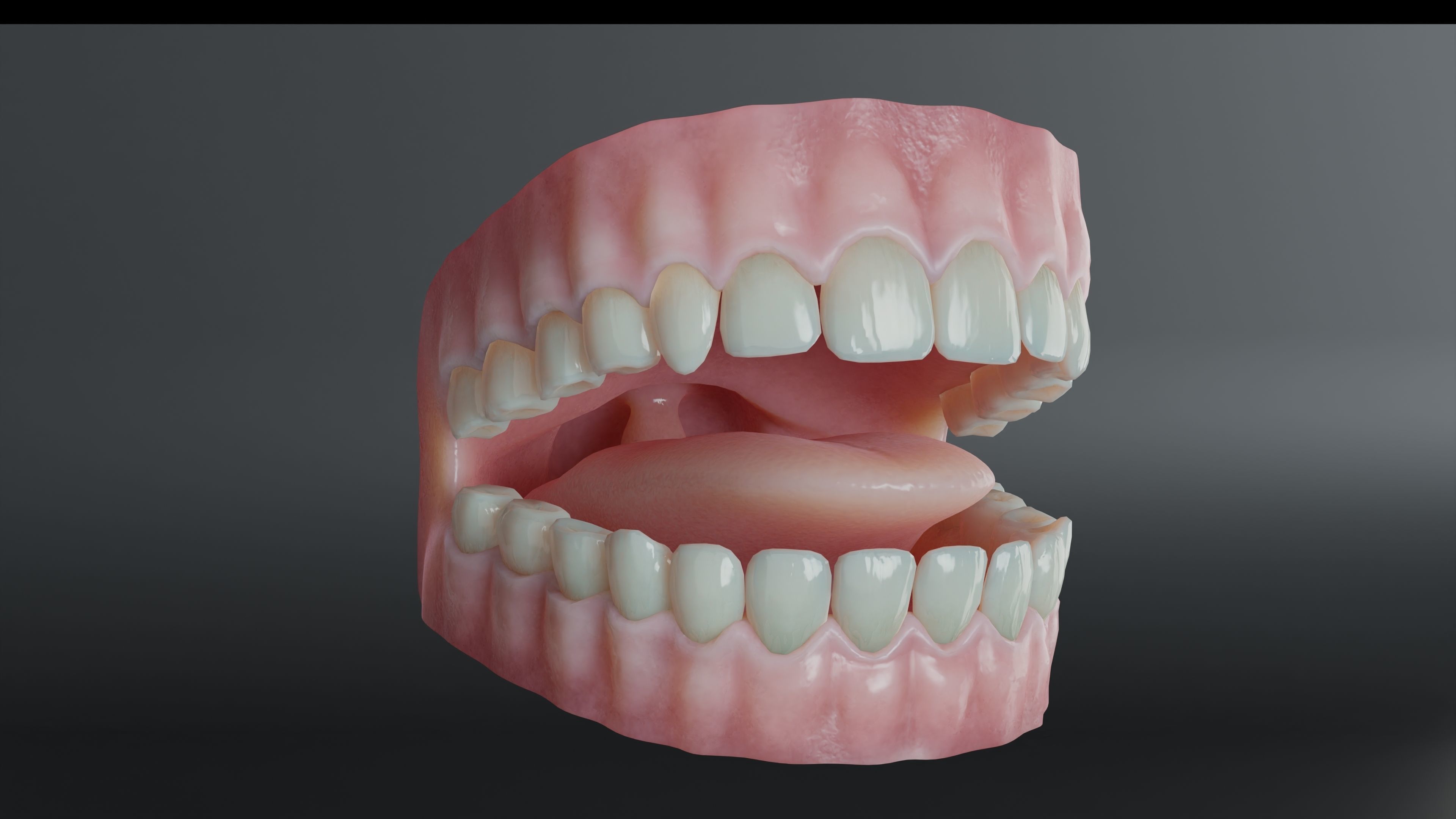 Human Teeth 3D model animated rigged | CGTrader