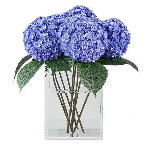 hydrangea 01 3D model | CGTrader