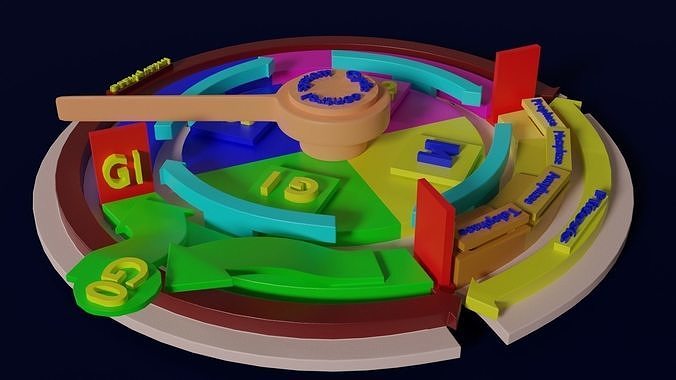 Cell Cycle phases stages and check points 3d print model 3D model 3D ...
