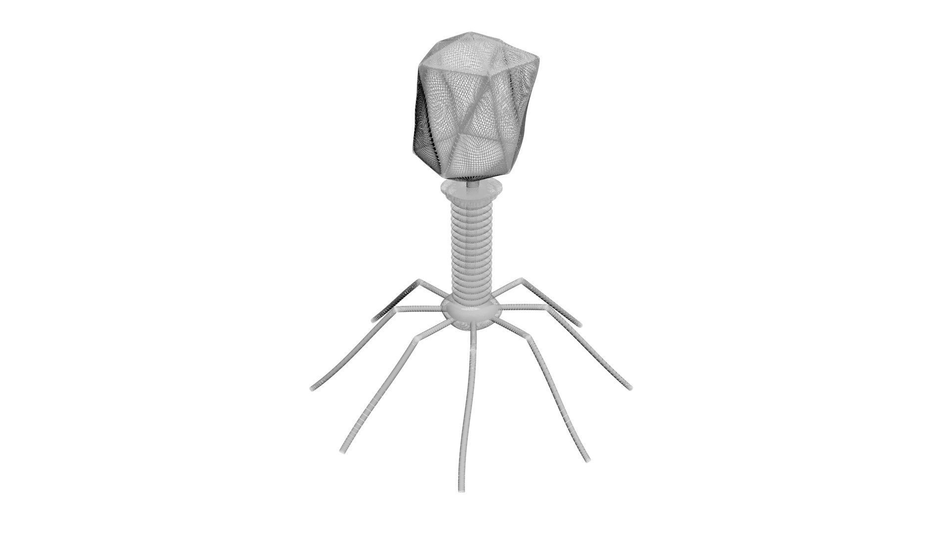 Bacteriophage 3D model | CGTrader
