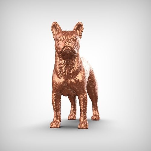 Boston Terrier Dog 3D Print Model Pose 02 3D model 3D printable | CGTrader
