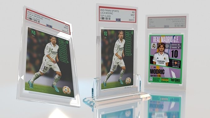 Soccer Card Graded Case With Display Stand 3D model | CGTrader
