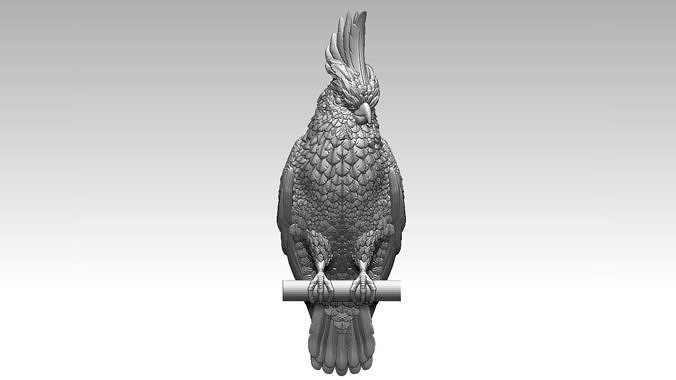parrot 3D model 3D printable | CGTrader