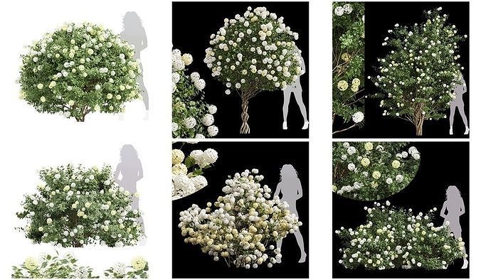 6 Different SETS of Bush SET VOL64 3D Model Collection | CGTrader