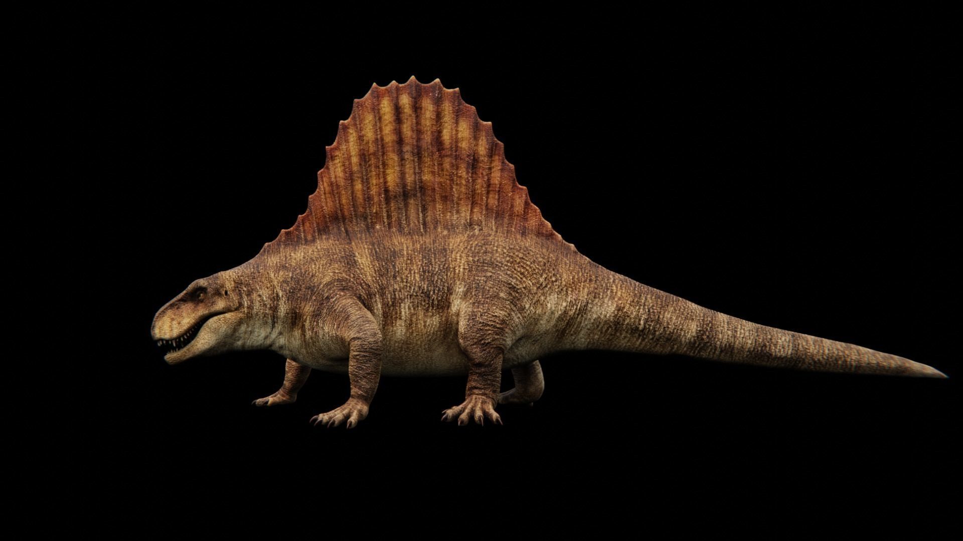 3D model Dimetrodon - Prehistoric Synapsid VR / AR / low-poly | CGTrader 3D model Dimetrodon - Prehistoric Synapsid VR / AR / low-poly | CGTrader