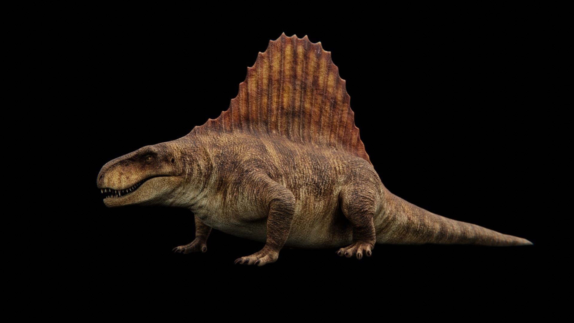 3D model Dimetrodon - Prehistoric Synapsid VR / AR / low-poly | CGTrader