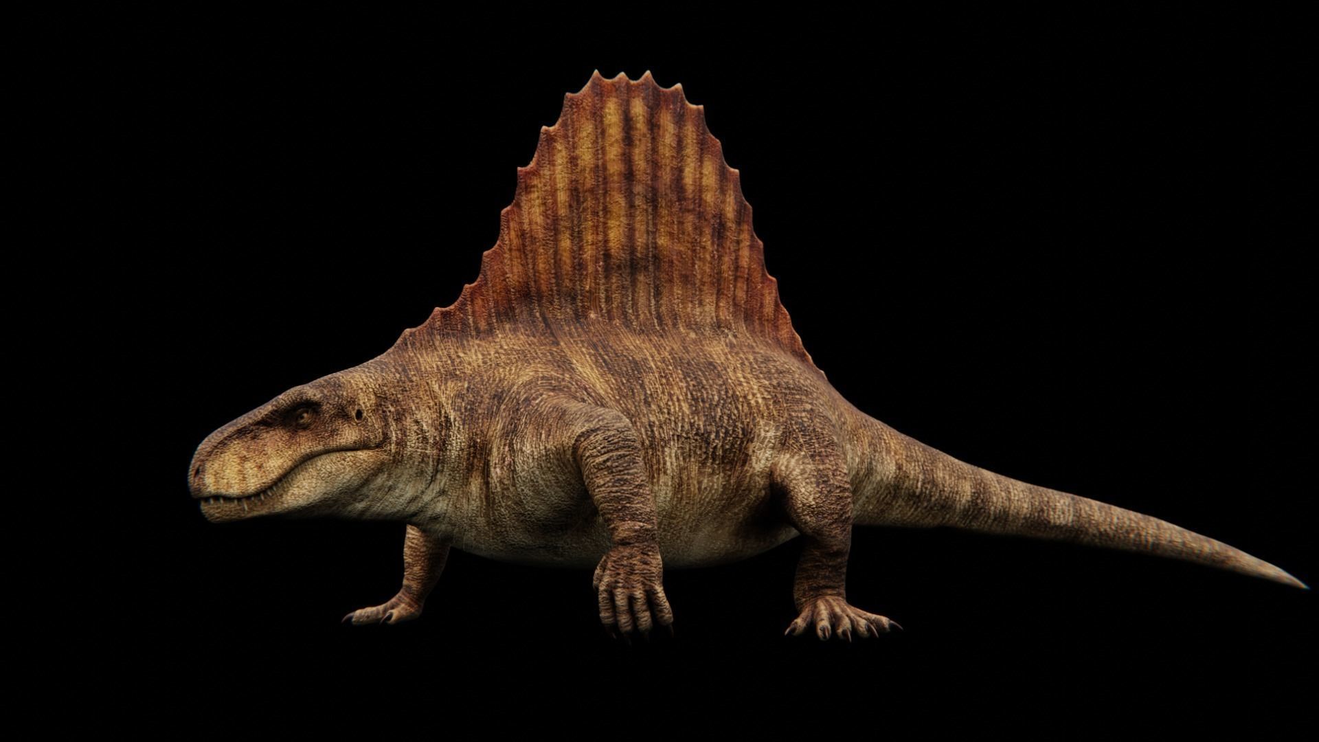 3D model Dimetrodon - Prehistoric Synapsid VR / AR / low-poly | CGTrader
