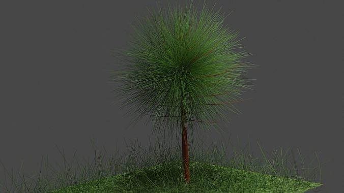 Tree Pack 01 3D model 3D model animated | CGTrader