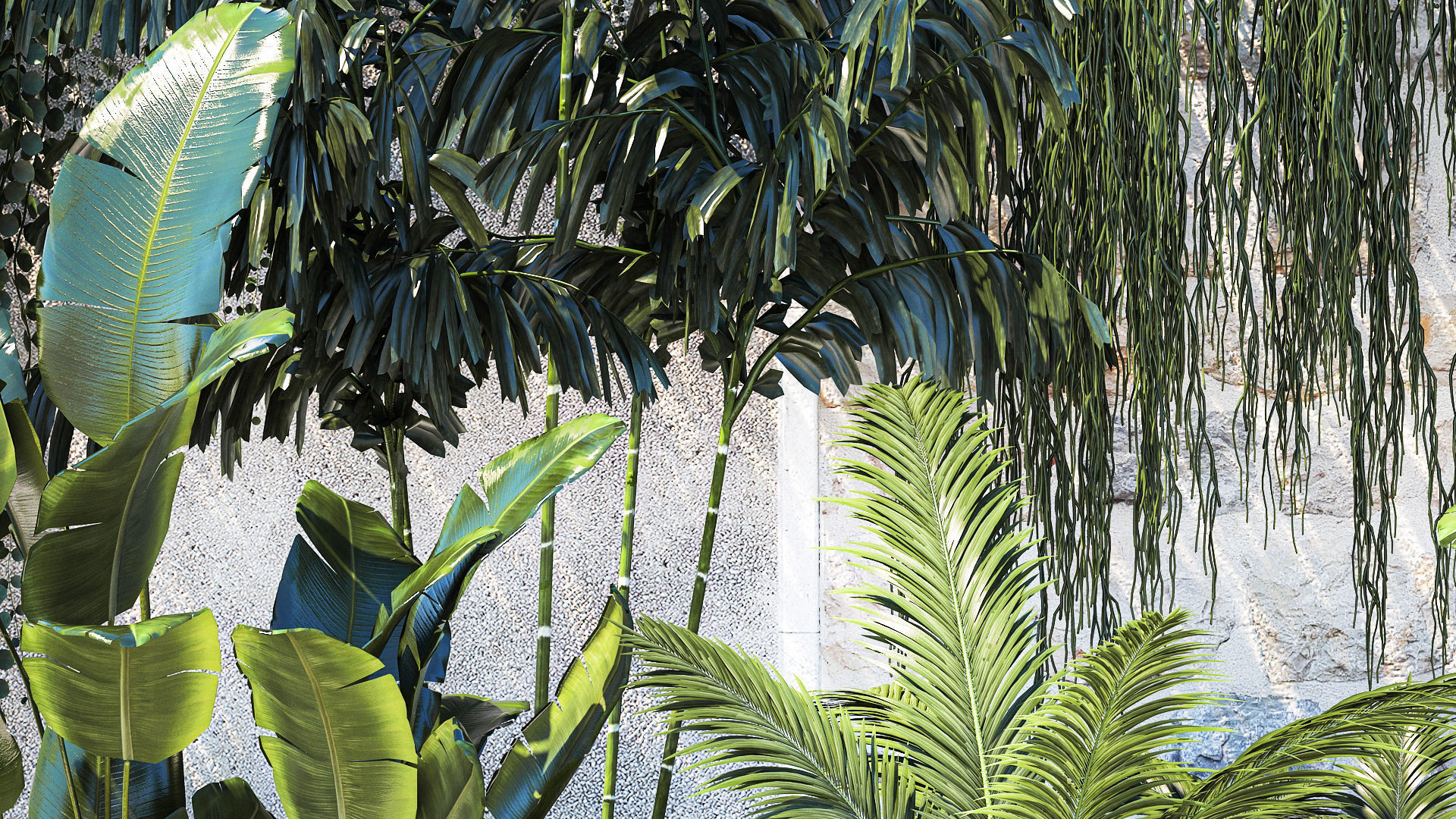 Garden with exotic plants Strelitzia Ravenal palm 3D model | CGTrader