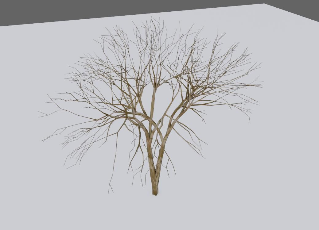 3D model Thin Tree - Arvore fina VR / AR / low-poly | CGTrader