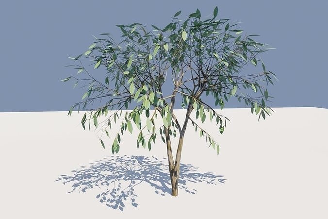 3D model Thin Tree - Arvore fina VR / AR / low-poly | CGTrader