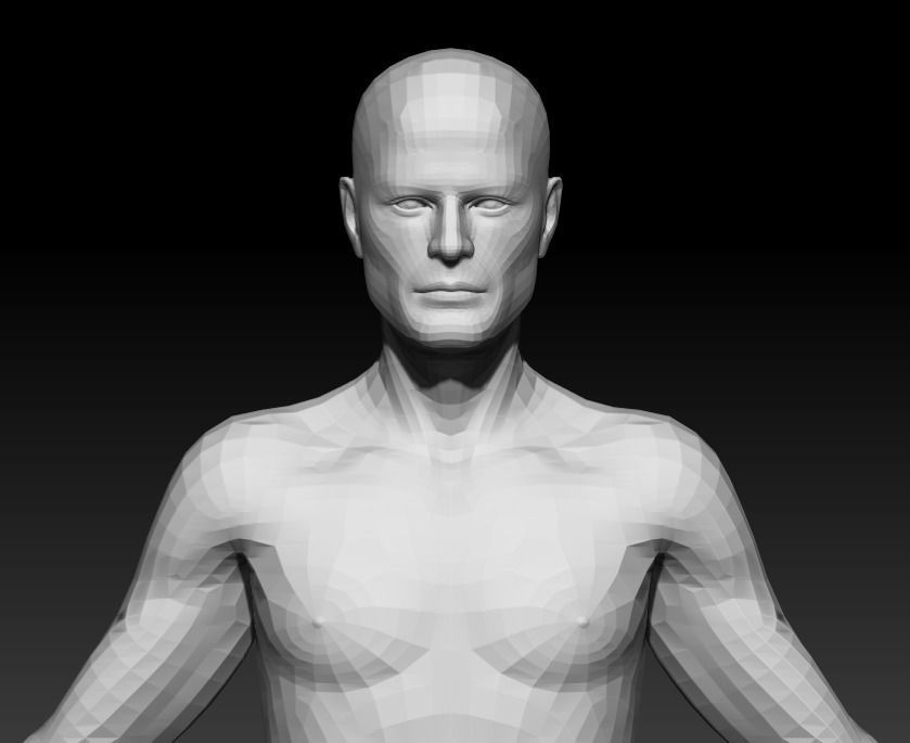 Male Base Mesh 4 3D model | CGTrader