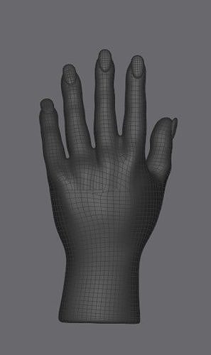3D model Retopologized female hand for rigging or models VR / AR / low ...