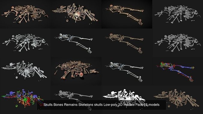 3D Model Collection Skulls Bones Remains Skeletons skulls Low-poly 3D ...