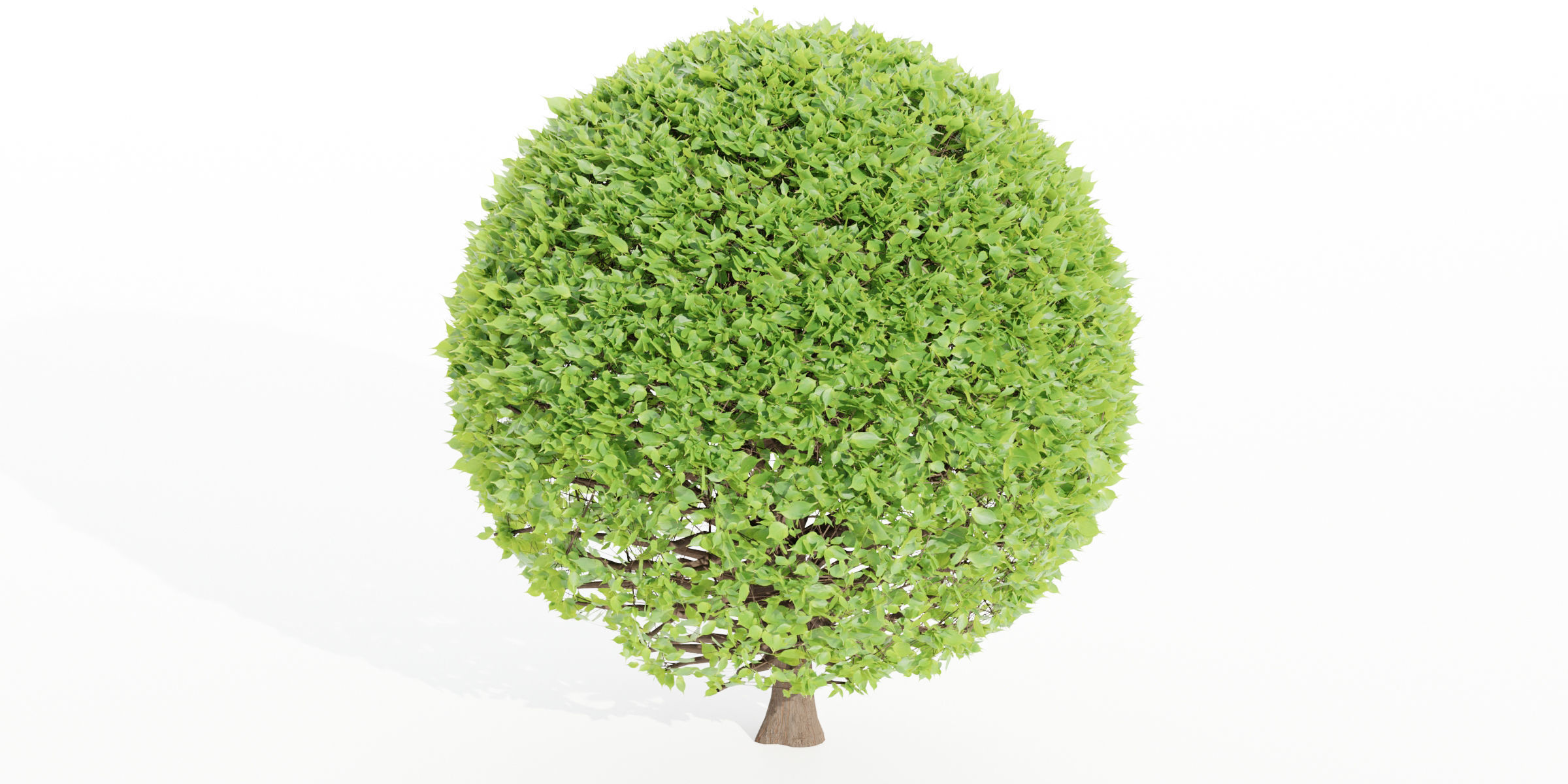 bushes collection vol 61-Blender 3D model | CGTrader