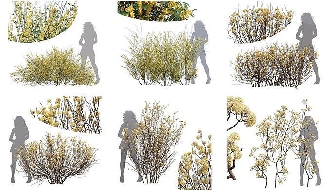 6 Different SETS of Bush SET VOL71 3D Model Collection | CGTrader