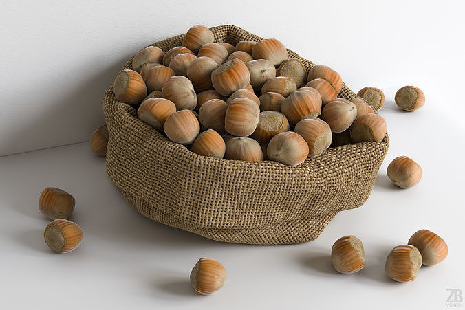 Hazelnut 017 3D model | CGTrader