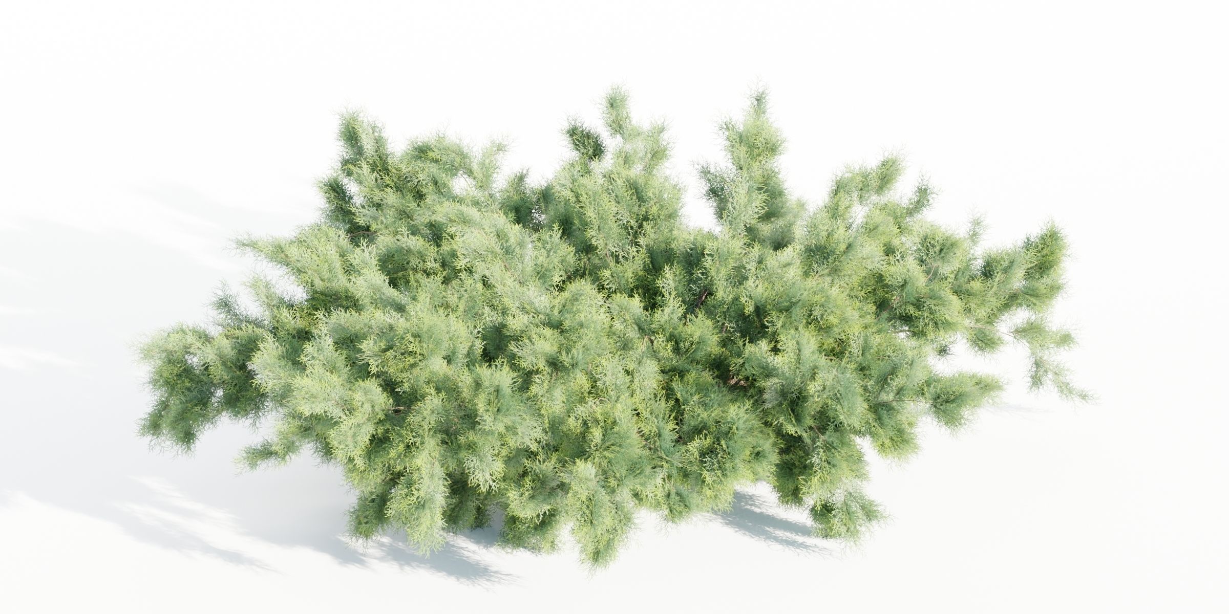 outdoor bushes collection vol 9-Blender 3D model | CGTrader