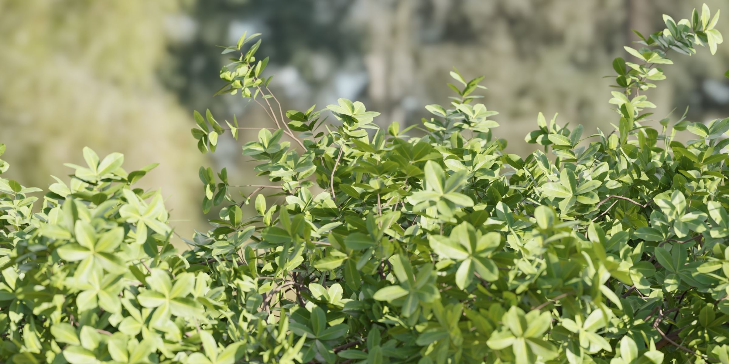 outdoor bushes collection vol 9-Blender 3D model | CGTrader