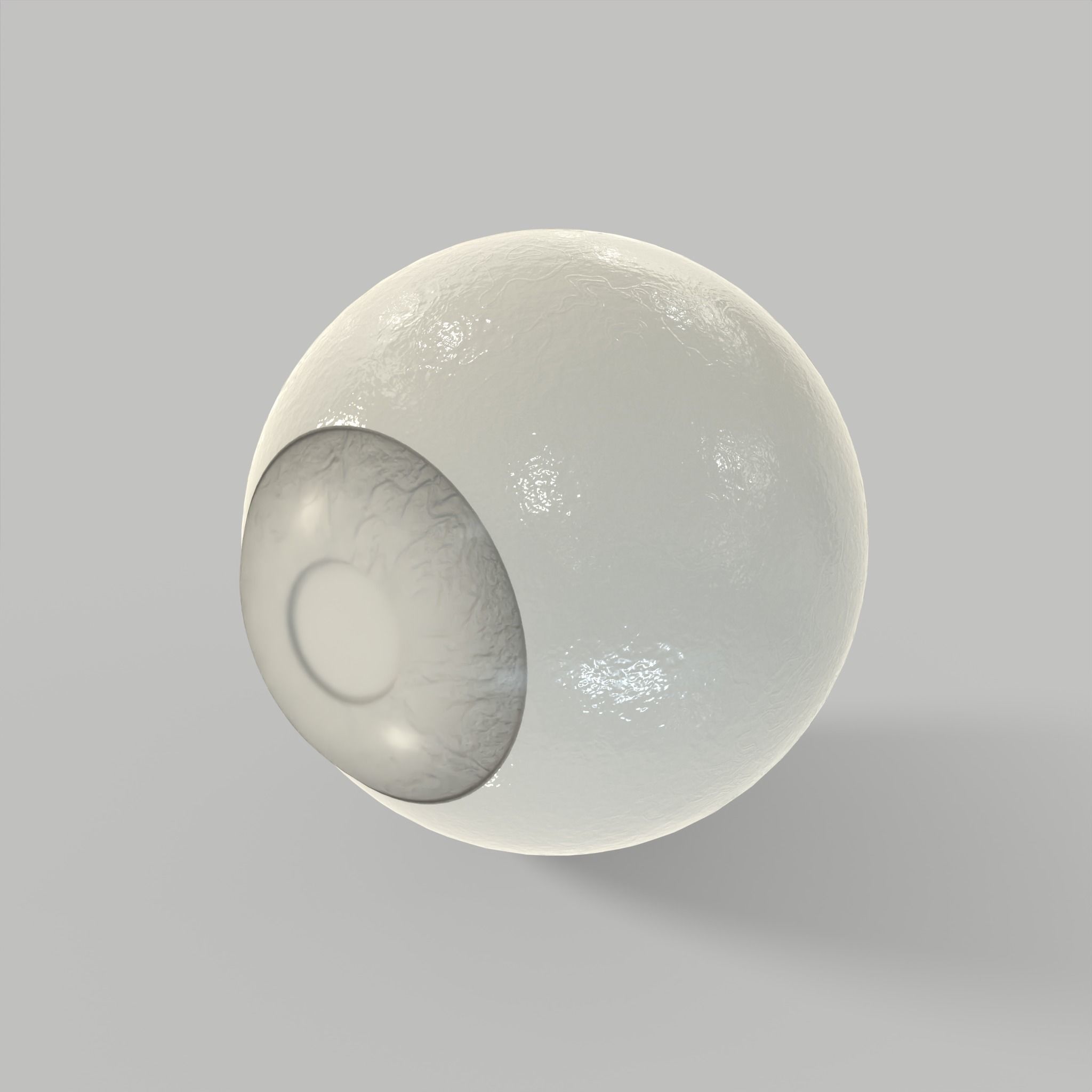 3D model Eye Human Anatomy Section VR / AR / low-poly | CGTrader