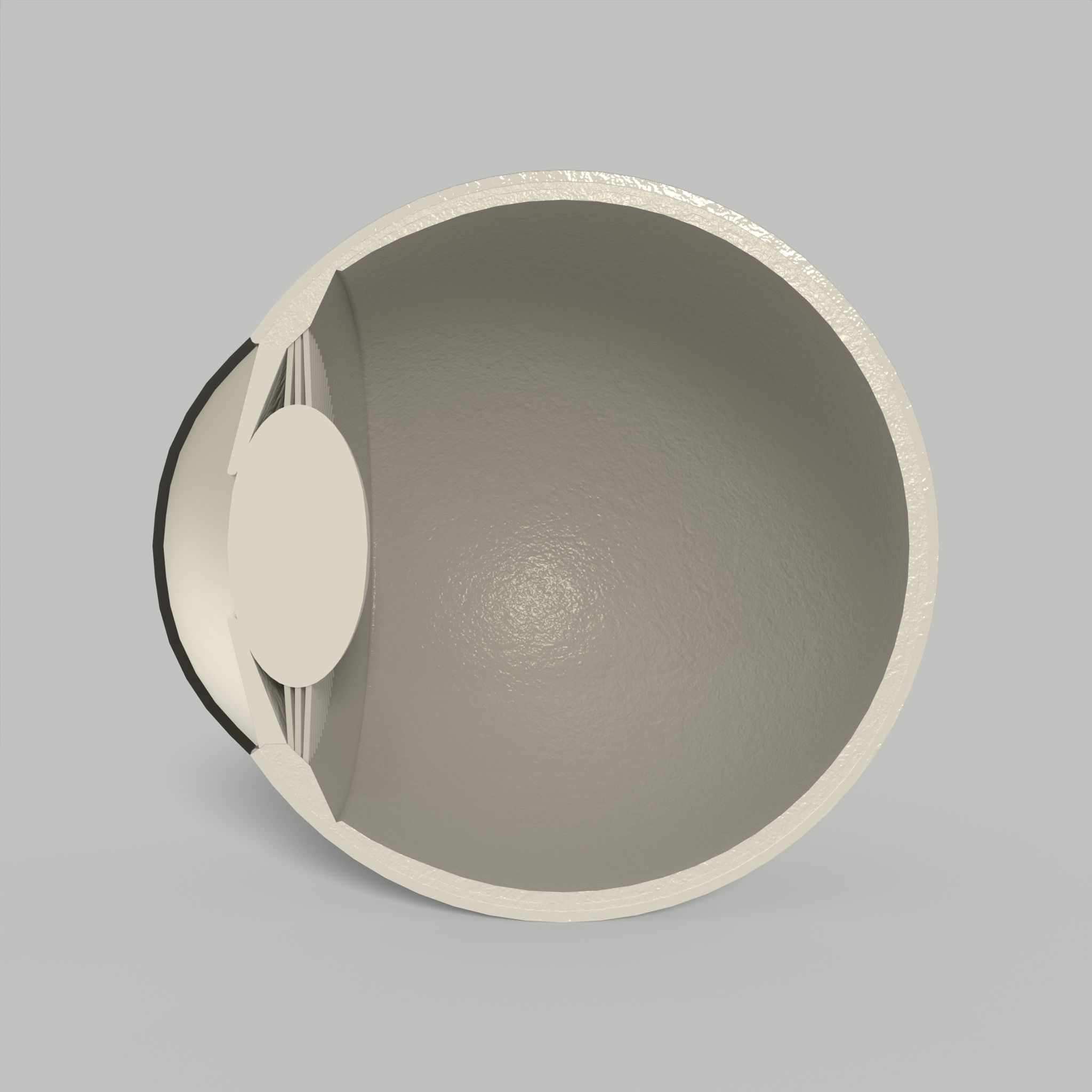 3D model Eye Human Anatomy Section VR / AR / low-poly | CGTrader