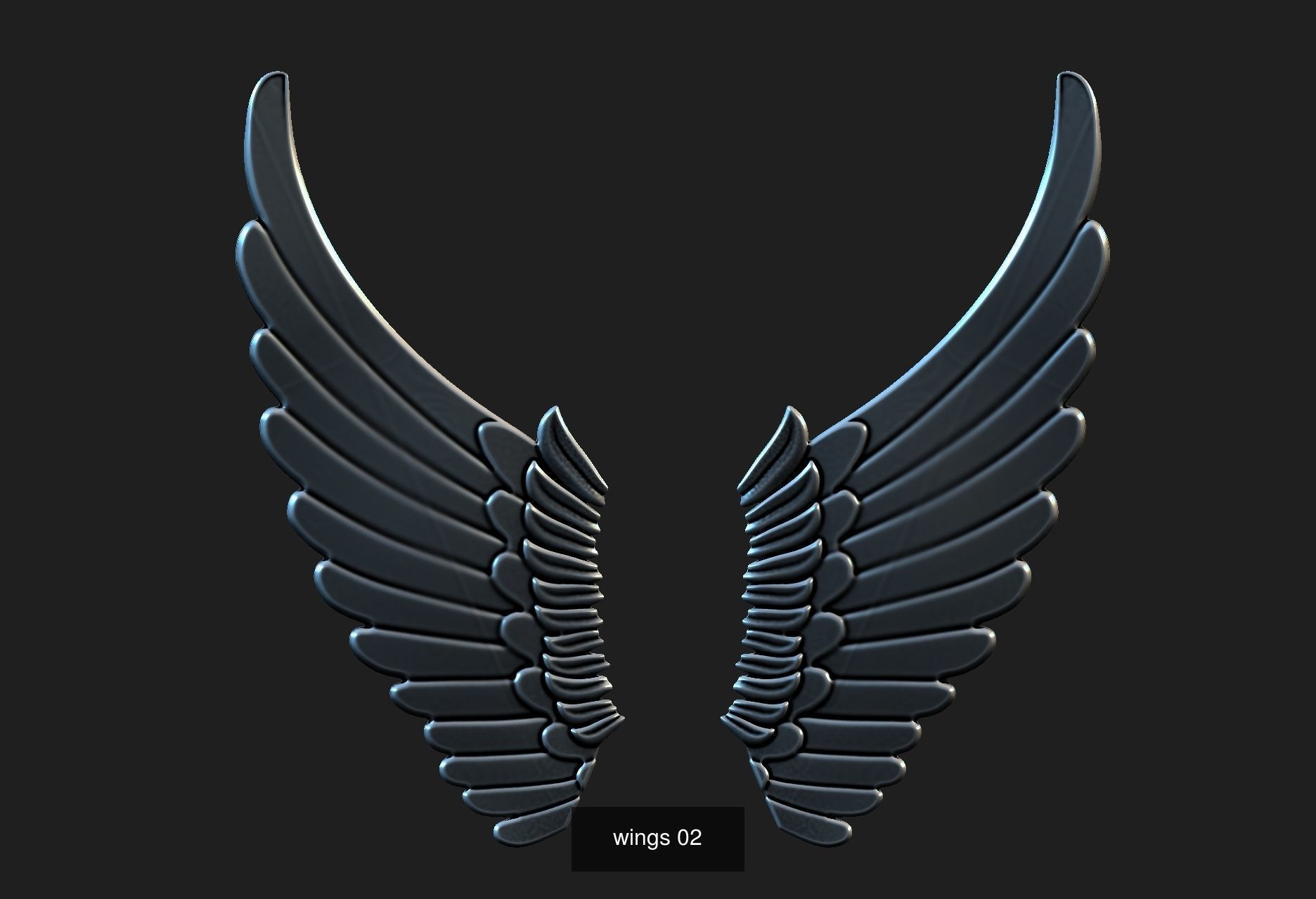 wings 3D Model Collection | CGTrader