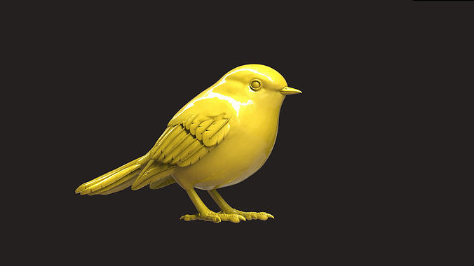 bird 07 3D model 3D printable | CGTrader