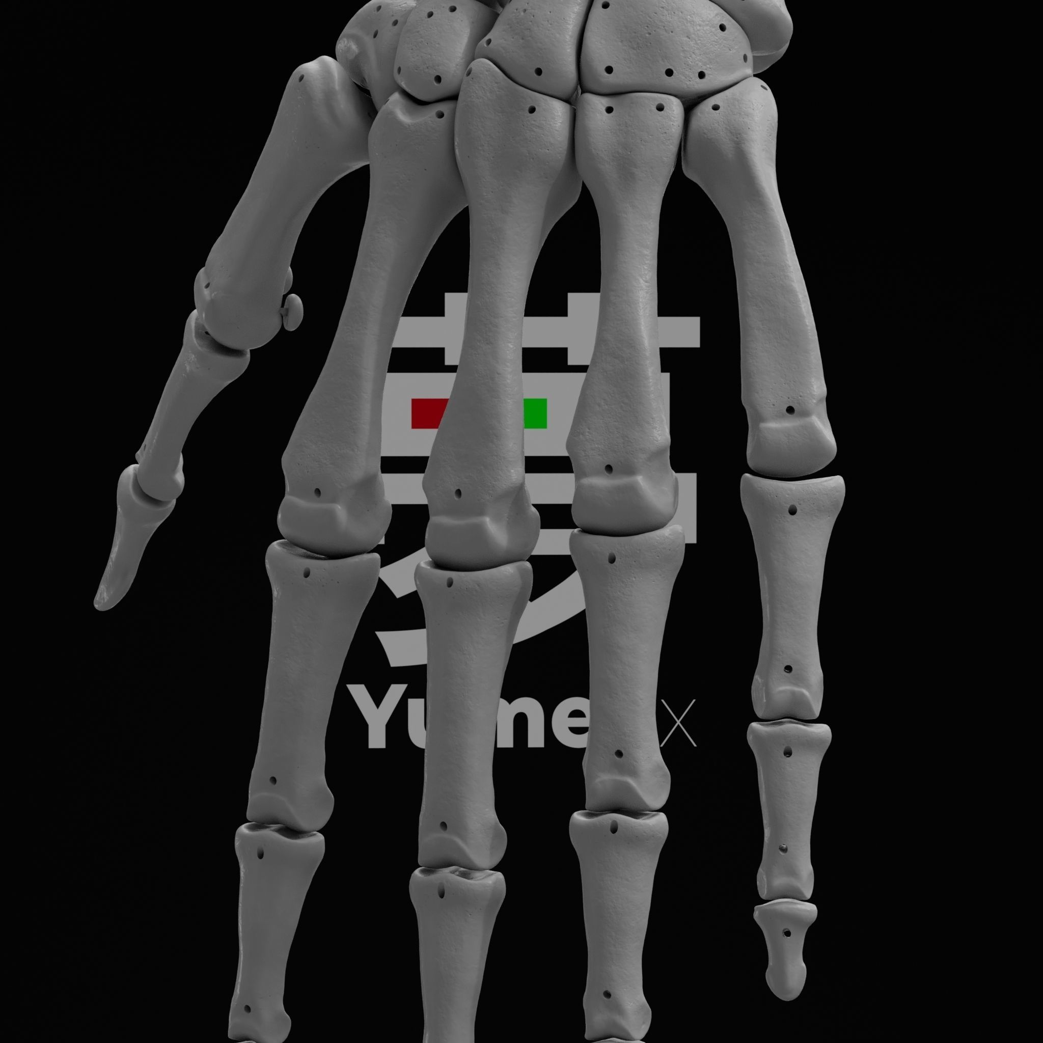 Human Lt Arm and Hand Bones 3D model 3D printable | CGTrader