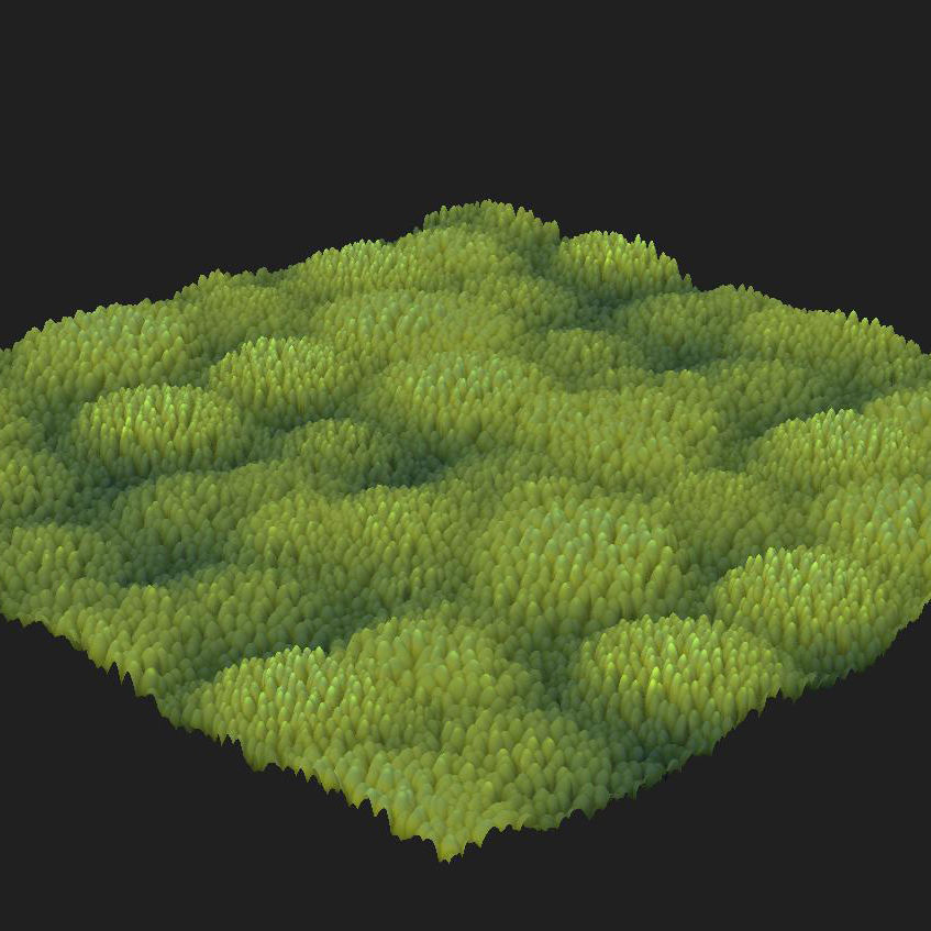 Stylized Moss 01 Texture | CGTrader