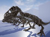 3D model Tyrannosaurus Rex Sue Skeleton -Unreal Engine and Unity ...
