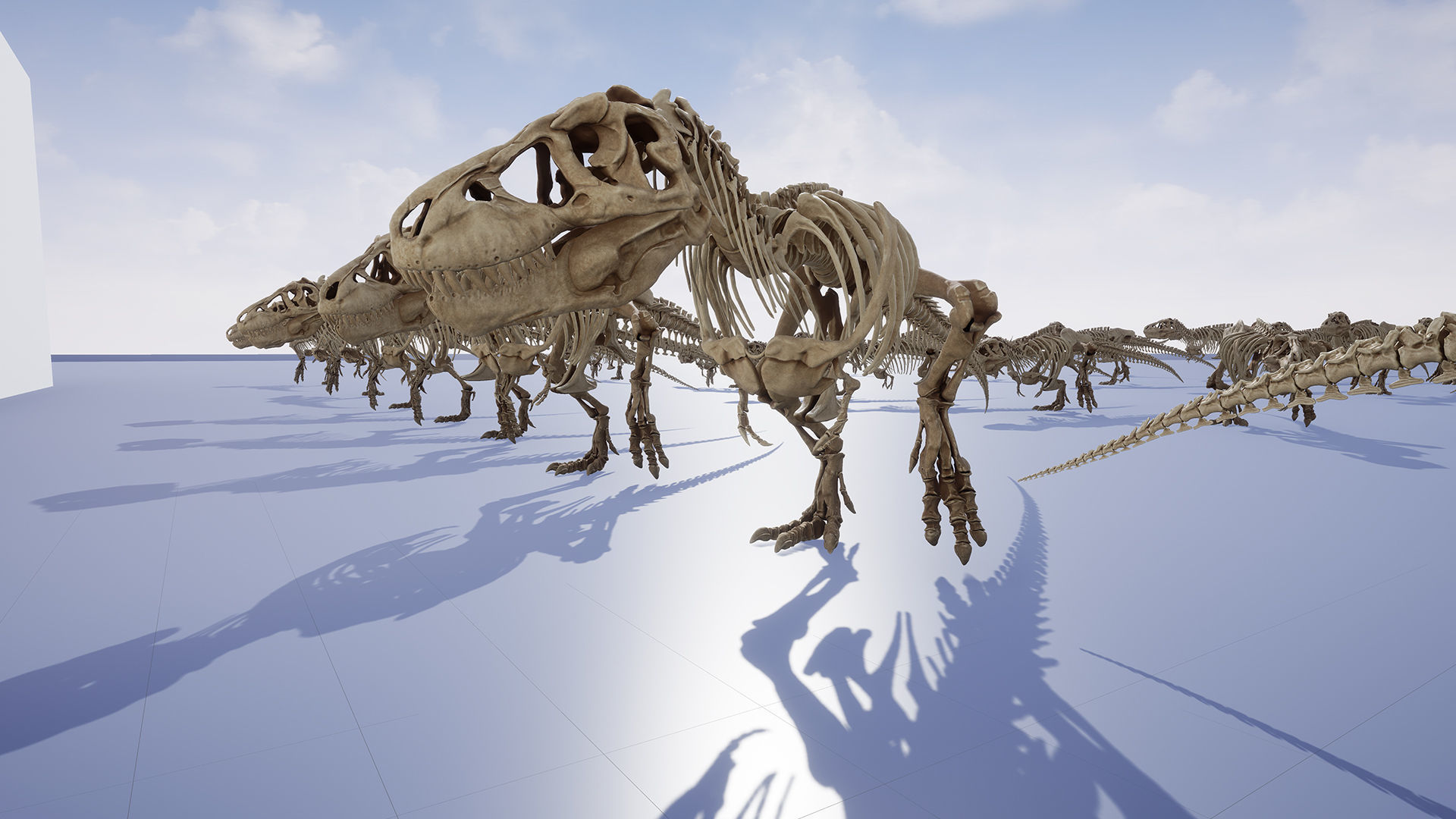 3D model Tyrannosaurus Rex Sue Skeleton -Unreal Engine and Unity ...