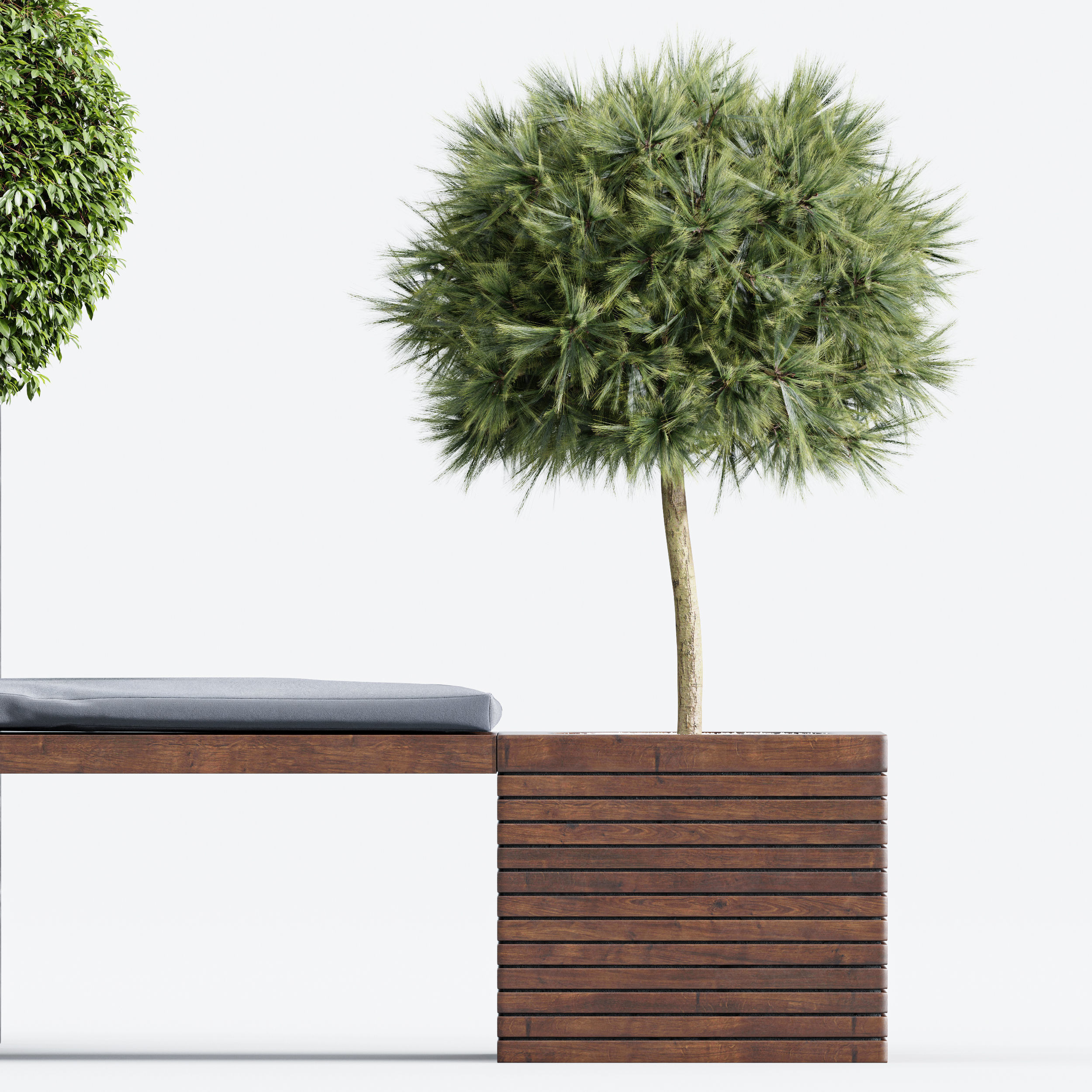 6 Different SETS of Plant Outdoor SET VOL81 3D Model Collection | CGTrader