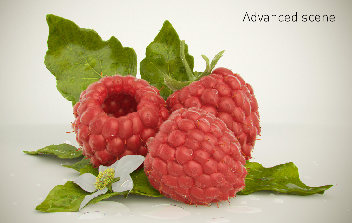 Raspberry 3D model | CGTrader