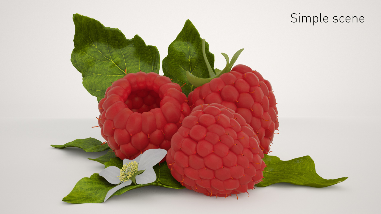 Raspberry 3D model | CGTrader