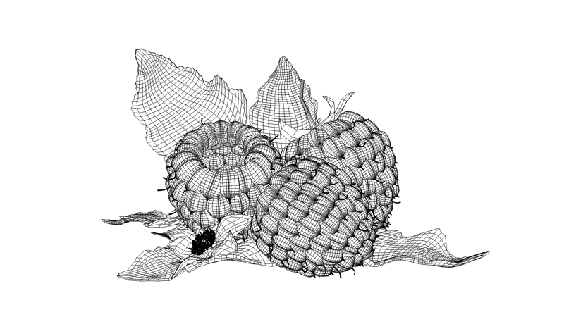 Raspberry 3D model | CGTrader