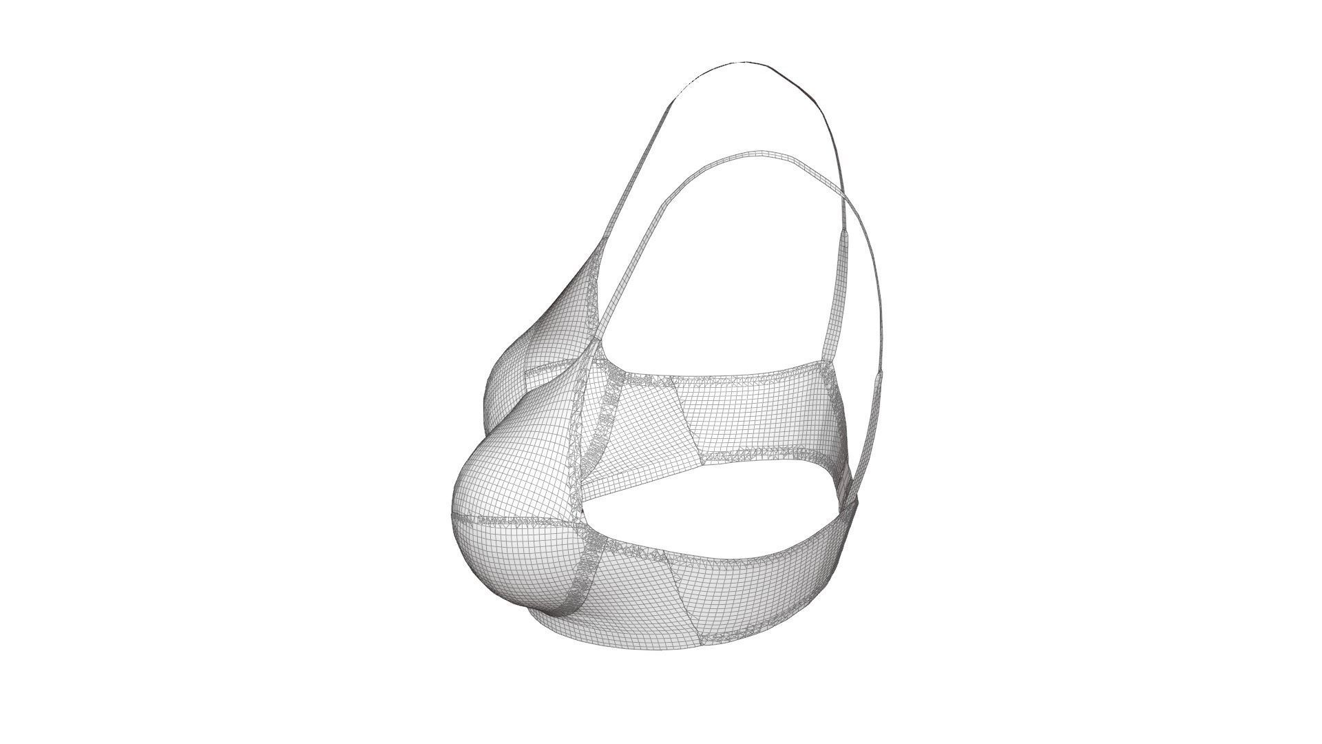 Wired Lace Bra 3D model | CGTrader