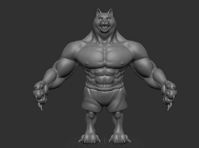 Buff Doge - High Res Decimated 3D model | CGTrader