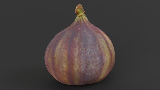 3D model Fig Photorealistic VR / AR / low-poly | CGTrader