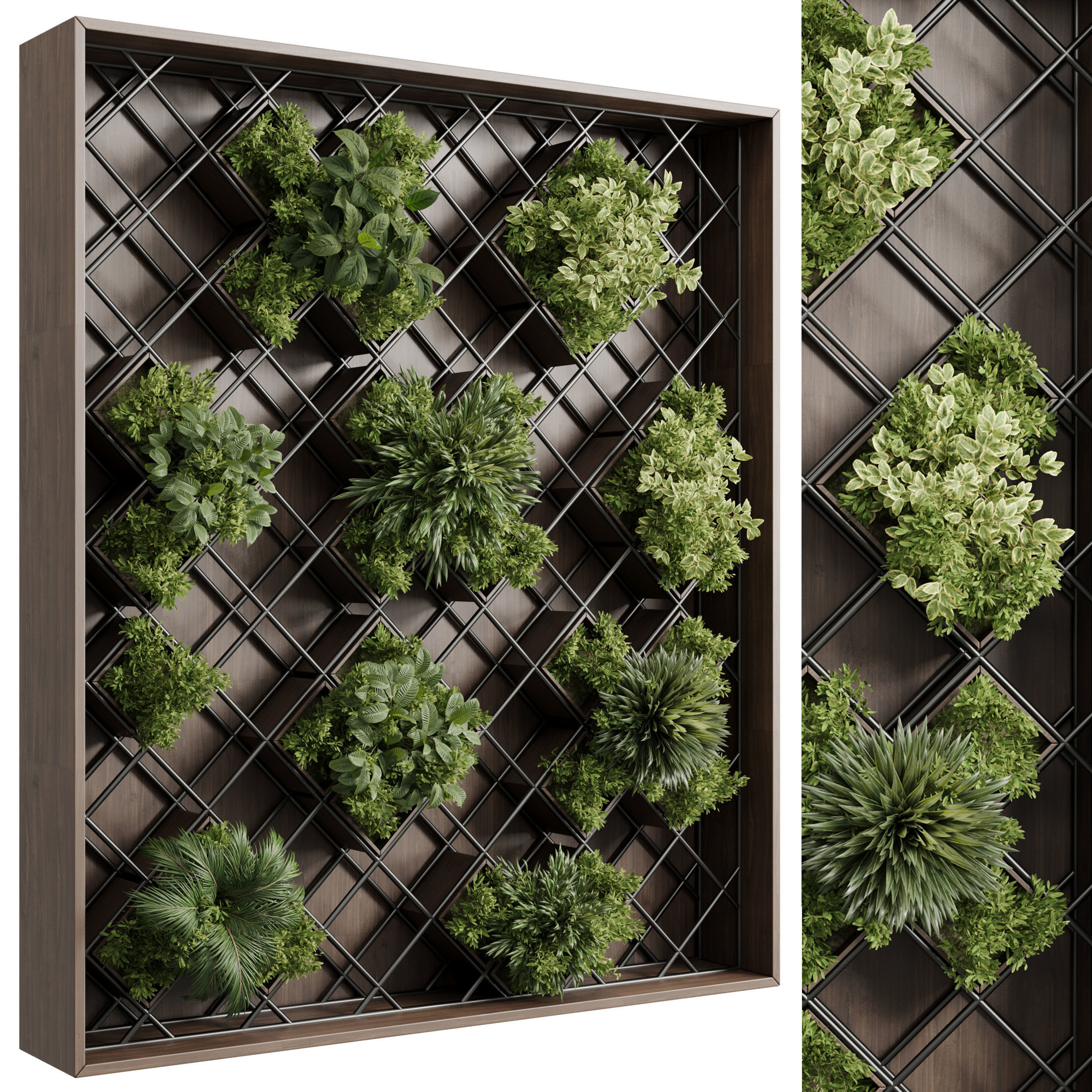 3D model plants set partition in wooden frame - Vertical graden VR / AR ...