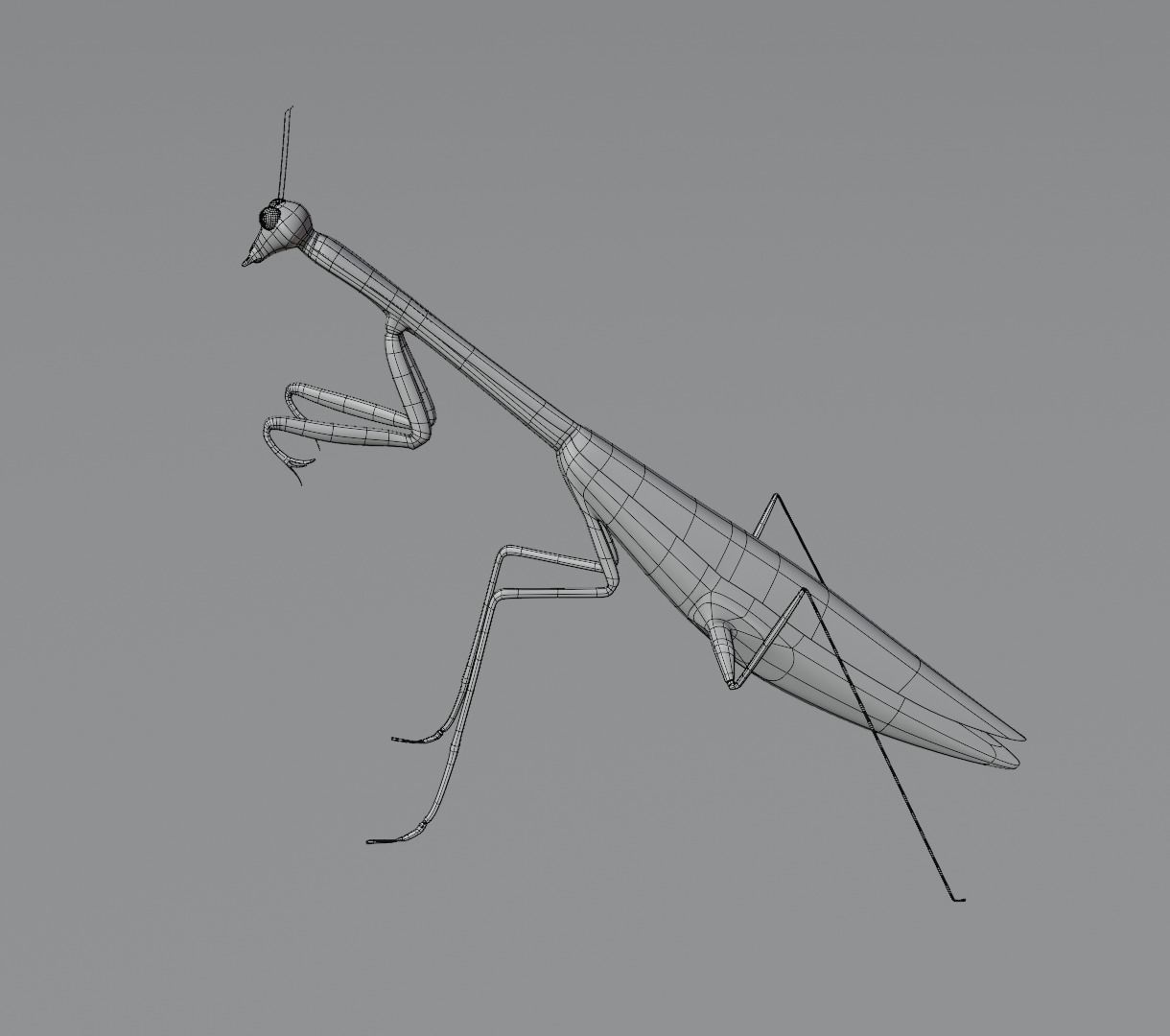3D model Mantis low poly 3D model for 3D print VR / AR / low-poly ...