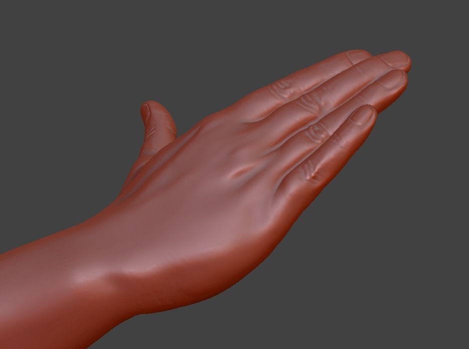Hii greeting saluted hand 3D model 3D printable | CGTrader