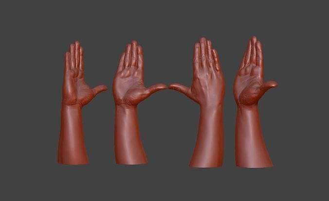 Hii greeting saluted hand 3D model 3D printable | CGTrader