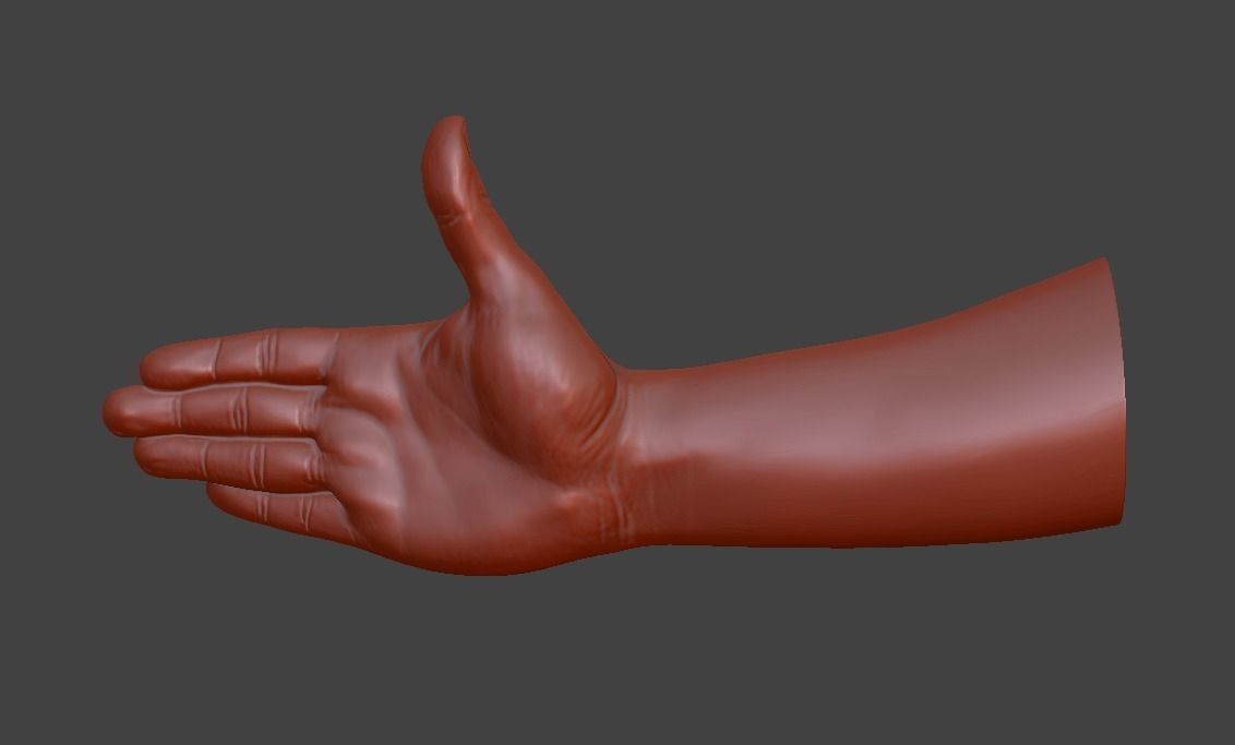 Hii greeting saluted hand 3D model 3D printable | CGTrader