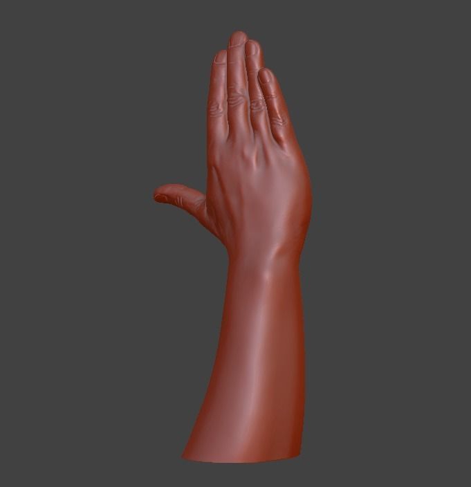Hii greeting saluted hand 3D model 3D printable | CGTrader