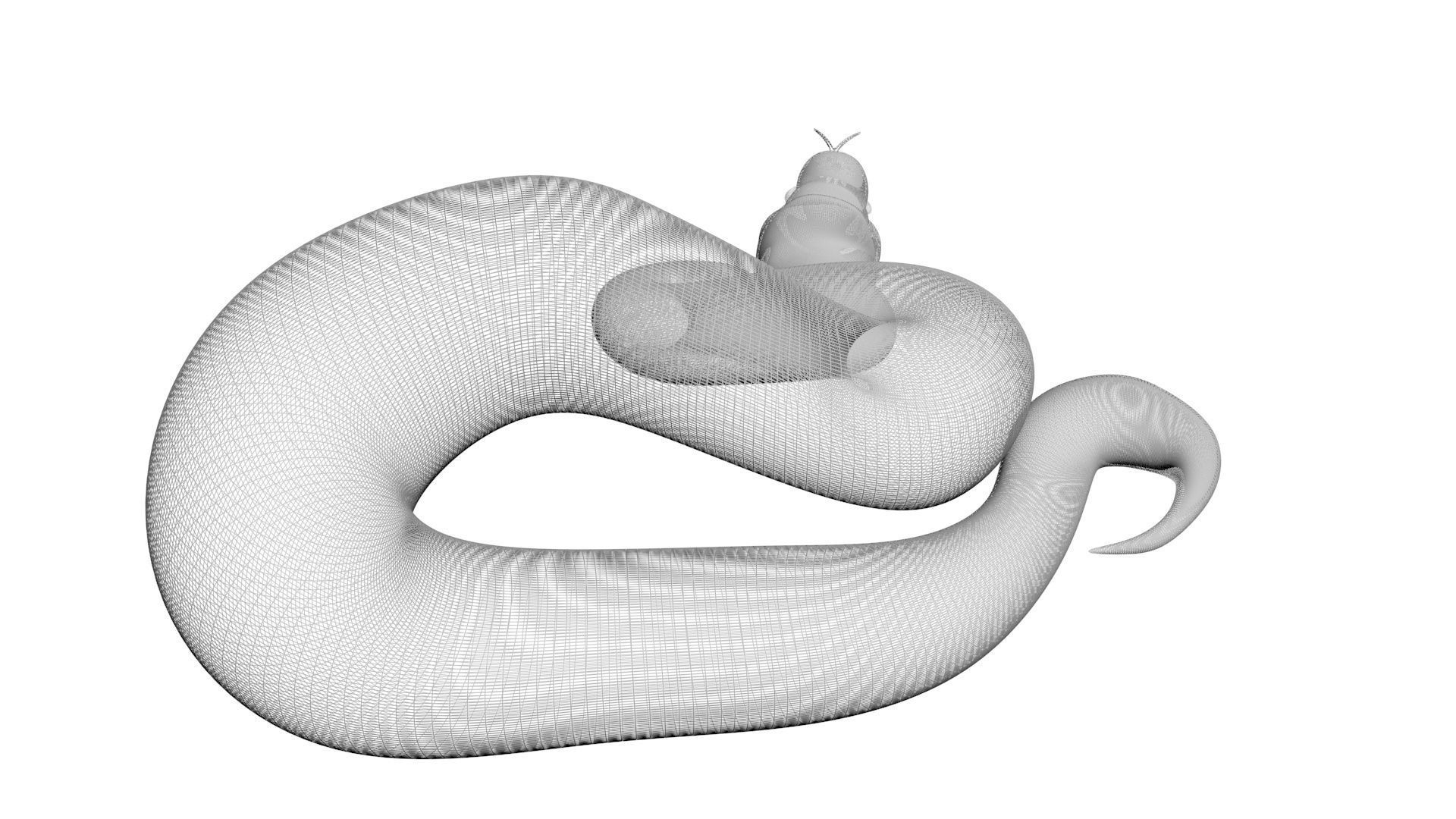 Albino Ball Python Snake 3D model | CGTrader
