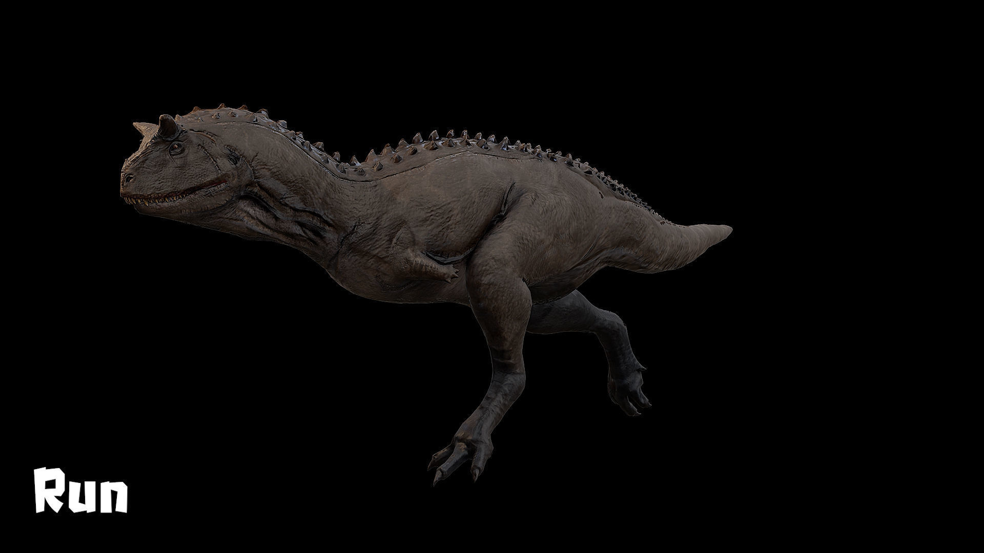 3D model Carnotaurus - Meat-Eating Bull VR / AR / low-poly | CGTrader