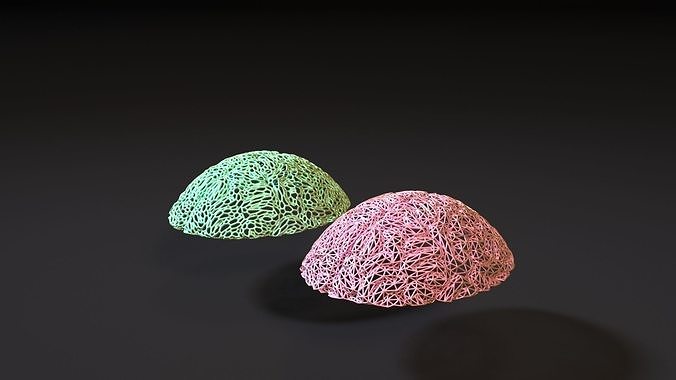Alien brain 3D model 3D printable | CGTrader
