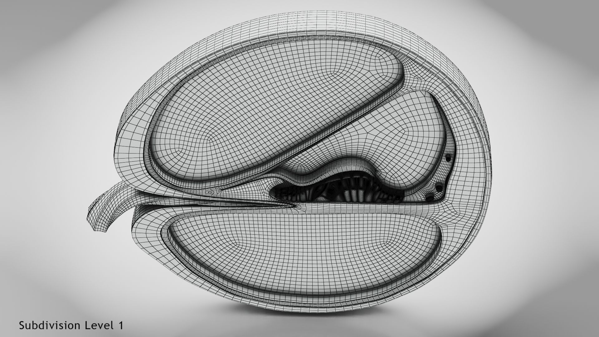 3D model Cochlea cross section VR / AR / low-poly | CGTrader